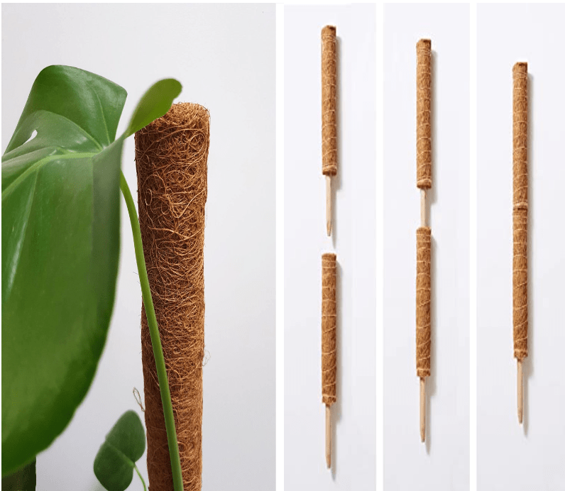 Coco Totem Pole - Extendable – Folia House